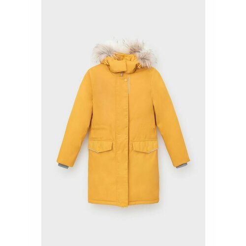Куртка crockid ВК 38107/1 ГР, размер 146-152/80/69, желтый