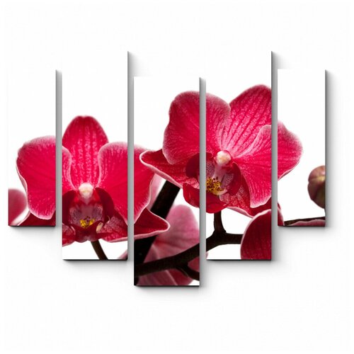Модульная картина Магия орхидей 131x106