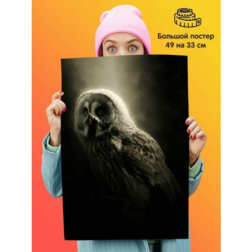 Постер плакат Owl Сова