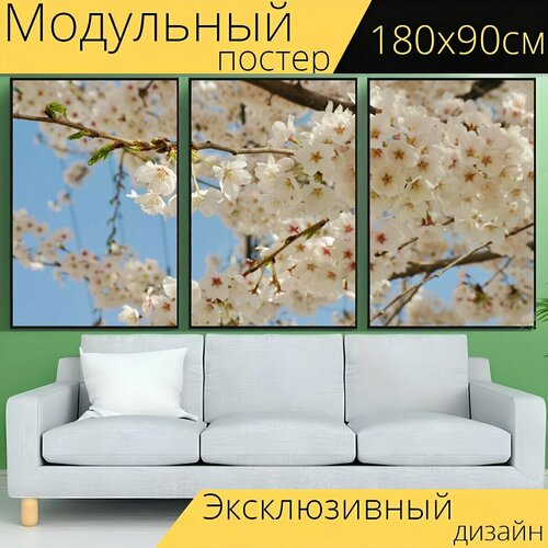 Модульный постер "Вишни в цвету, цветок, весна" 180 x 90 см. для интерьера