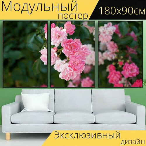 Модульный постер "Розы, розовый, природа" 180 x 90 см. для интерьера