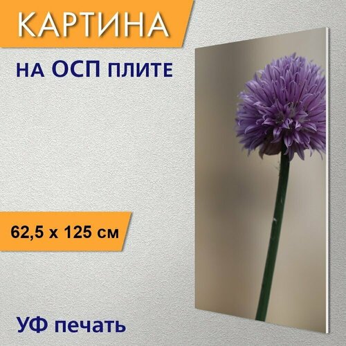 Вертикальная картина на ОСП "Чеснок, цветок, фиолетовый" 62x125 см. для интерьериа
