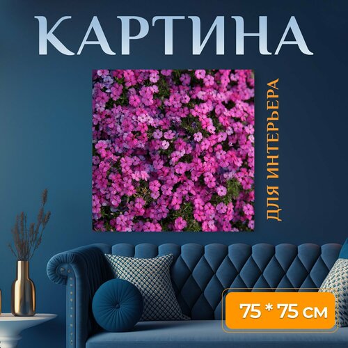 Картина на холсте "Цветок, летом, розовый" на подрамнике 75х75 см. для интерьера