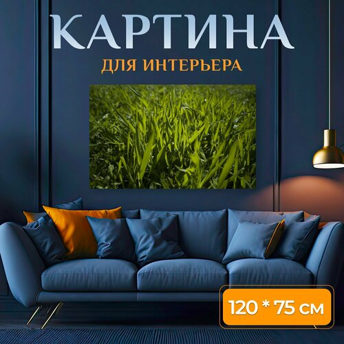 Картина на холсте "Трава, поле, площадь" на подрамнике 120х75 см. для интерьера