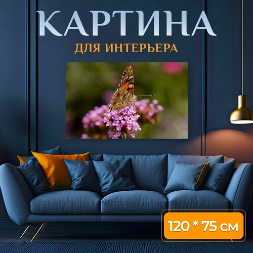 Картина на холсте "Бабочка, насекомое, природа" на подрамнике 120х75 см. для интерьера