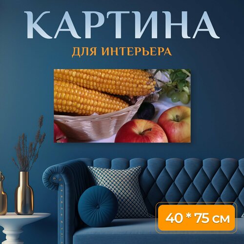 Картина на холсте "Еда, фрукты, овощи" на подрамнике 75х40 см. для интерьера