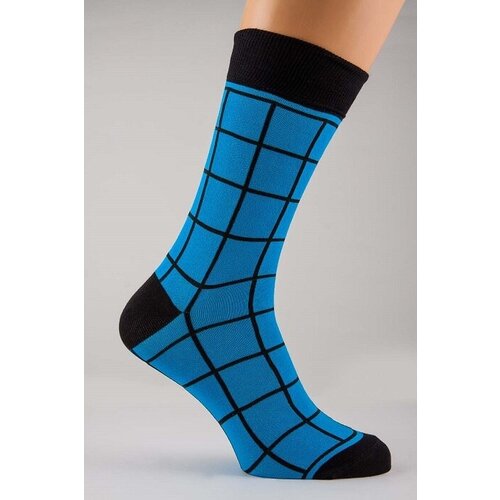Носки Годовой запас носков, размер 27 (41-43), синий