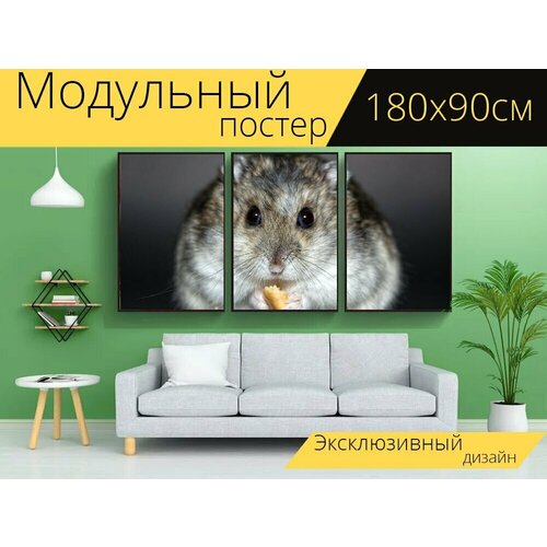 Модульный постер "Хомяк, грызун, карликовый хомяк" 180 x 90 см. для интерьера