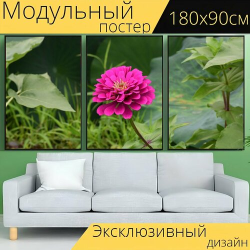 Модульный постер "Цветок, полевые цветы, лепесток" 180 x 90 см. для интерьера