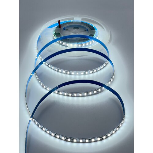 Лента светодиодная Redigle LED 11W, 2835-120 диодов на метр -IP20 24V Холодный белый, 6500K