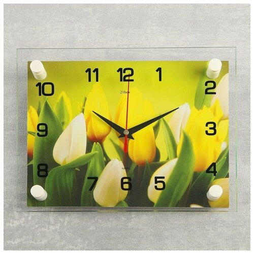 Рубин Часы настенные, серия: Цветы, "Тюльпаны", 20х26 см микс