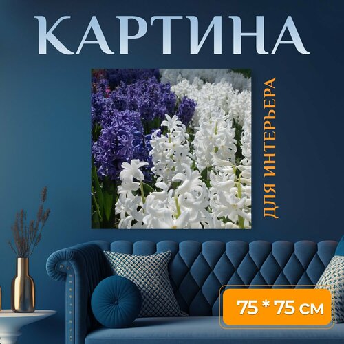 Картина на холсте "Гиацинт, цветок, фиолетовый" на подрамнике 75х75 см. для интерьера