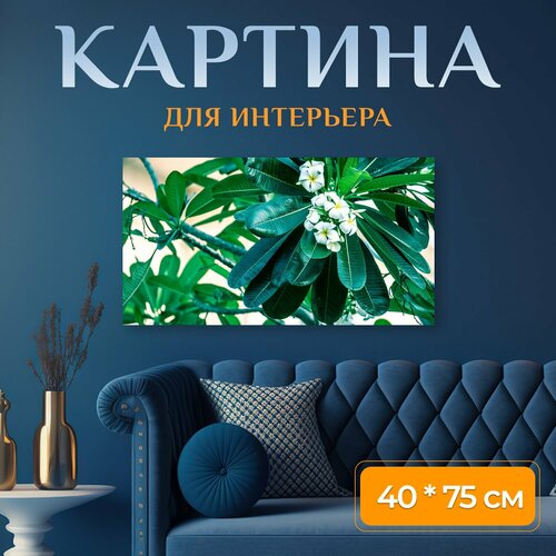 Картина на холсте "Плюмерия, цветок, таиланд" на подрамнике 75х40 см. для интерьера