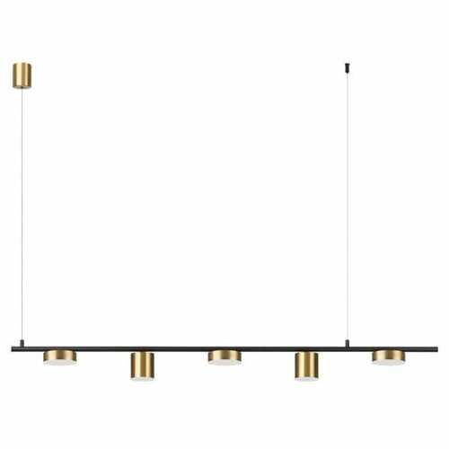 Подвесная люстра Lumion Flint 6532/57L