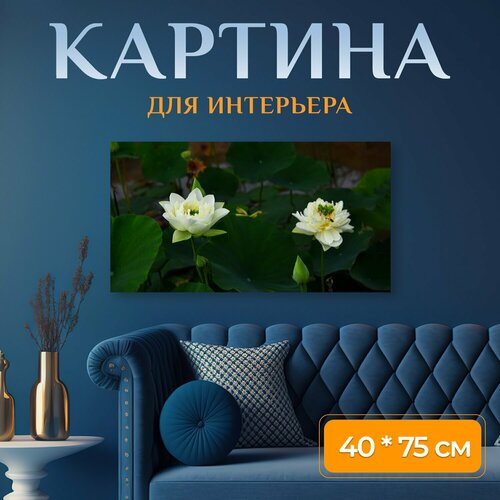 Картина на холсте "Золотой лотос, цвести, цветок" на подрамнике 75х40 см. для интерьера