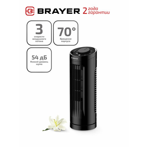 Настольный вентилятор BRAYER BR4980