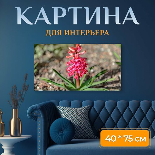 Картина на холсте "Гиацинт, цвести, весна" на подрамнике 75х40 см. для интерьера