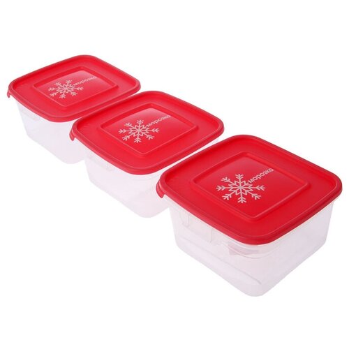 Набор квадратных контейнеров для замораживания продуктов «Морозко», 1 л, цвет микс