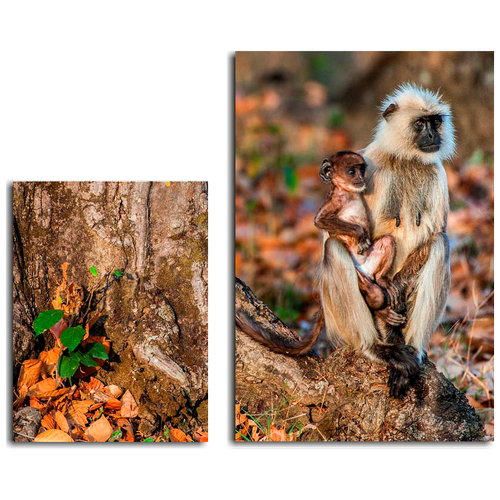 Модульная картина Милые обезьянки 74х60 см