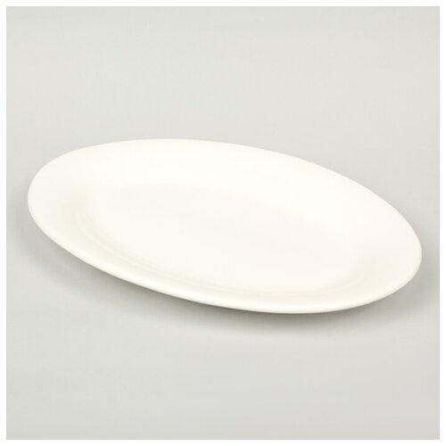 Блюдо фарфоровое овальное c утолщённым краем White Label, 30,5×20×3 см, цвет белый