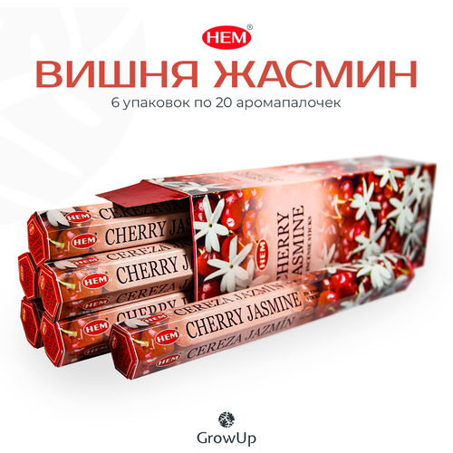 HEM Вишня Жасмин - 6 упаковок по 20 шт - ароматические благовония, палочки, Cherry Jasmine - Hexa ХЕМ