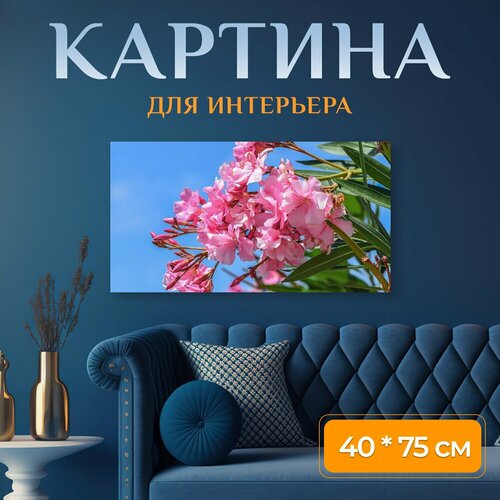 Картина на холсте "Олеандр, цветок, завод" на подрамнике 75х40 см. для интерьера