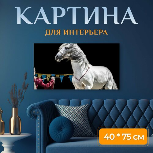 Картина на холсте "Лошадь, укрощение, выездка" на подрамнике 75х40 см. для интерьера