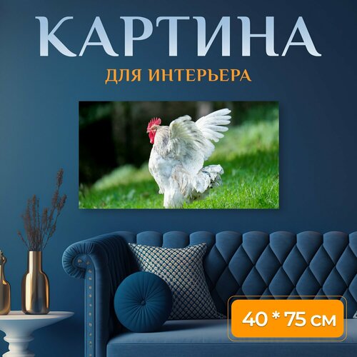 Картина на холсте "Петух, курица, крылья" на подрамнике 75х40 см. для интерьера