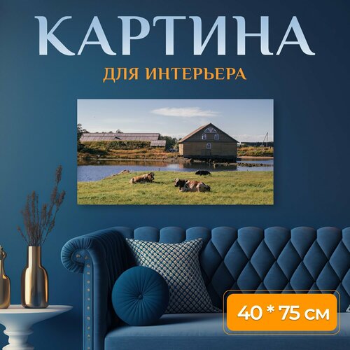 Картина на холсте "Соловки, коровы, пастбище" на подрамнике 75х40 см. для интерьера