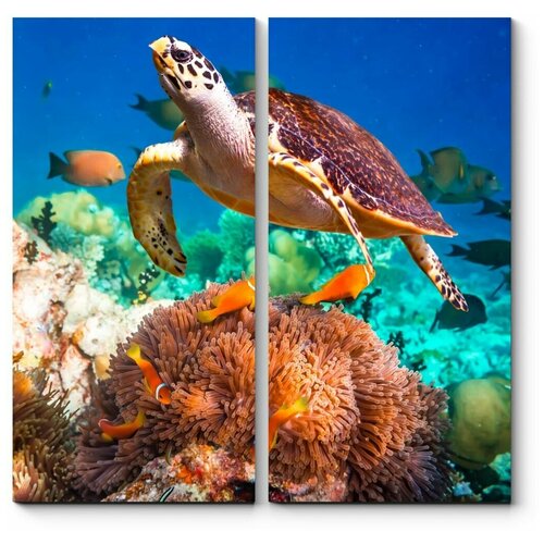 Модульная картина Черепаха в коралловом рифе80x80
