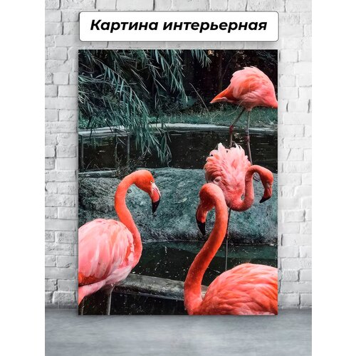 Картины для интерьера 40х60 Фламинго Птицы Природа
