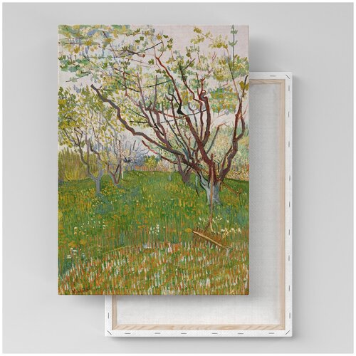 Картина на холсте с подрамником / Van Gogh / Ван Гог - Фруктовый сад в цвету