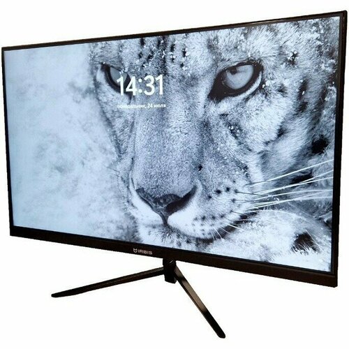 Монитор IRBIS 24" SmartView 24 (24FIU01), черный