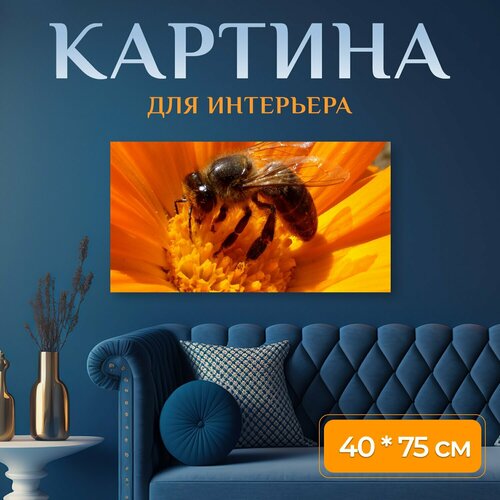 Картина на холсте "Насекомое, пчела, мед" на подрамнике 75х40 см. для интерьера