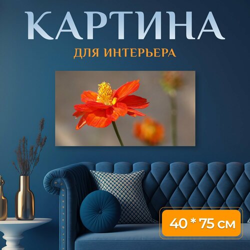 Картина на холсте "Завод, цветы, цветущее растение" на подрамнике 75х40 см. для интерьера