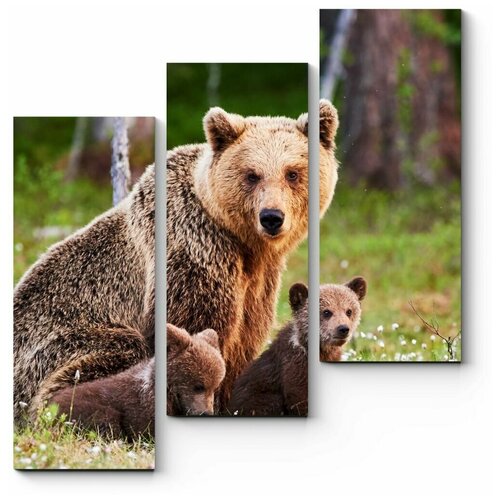 Модульная картина Семья очаровательных медведей 130x139