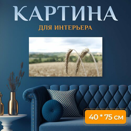 Картина на холсте "Пшеница, зерно, сельское хозяйство" на подрамнике 75х40 см. для интерьера