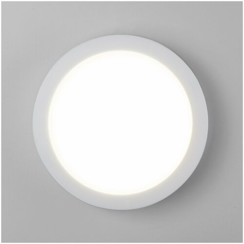 Настенно-потолочный светильник Elektrostandard Circle LTB51 LED, 15W, 6500K, цвет белый, IP65