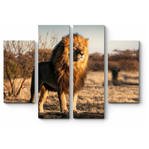 Модульная картина Одинокий лев 180x135