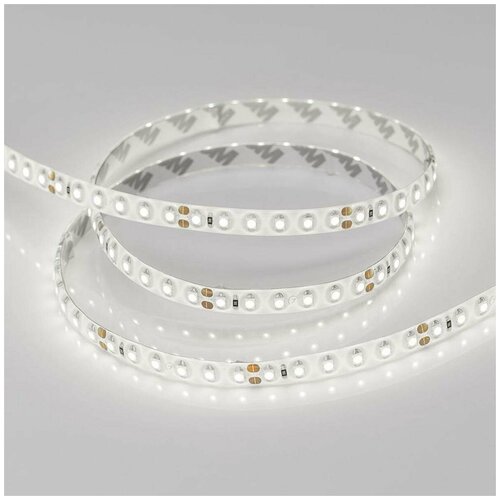 Светодиодная лента Arlight RTW 2-5000SE 24V 6500K холодный дневной 9.6Вт/м 120LED/m 8мм в силиконовой оболочке IP65 (5 метров)