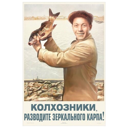 Плакат, постер на бумаге Колхозники, разводите зеркального карпа. Размер 21 х 30 см