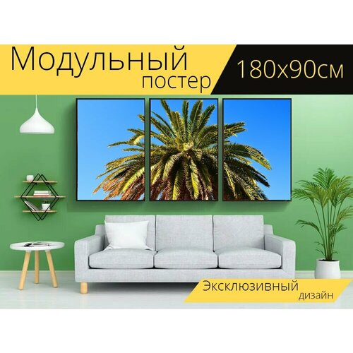 Модульный постер "Пальма, лето, абхазия" 180 x 90 см. для интерьера