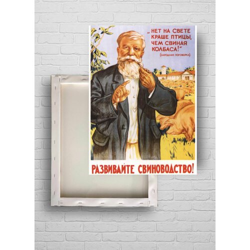 Картина советский плакат "Развивайте свиноводство" (холст, подрамник, 30х40 см)