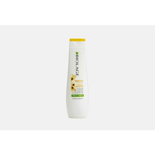Шампунь для непослушных вьющихся волос Shampoo SmoothProof