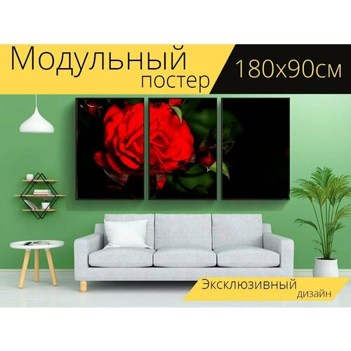 Модульный постер "Красная роза, роза, цветок" 180 x 90 см. для интерьера