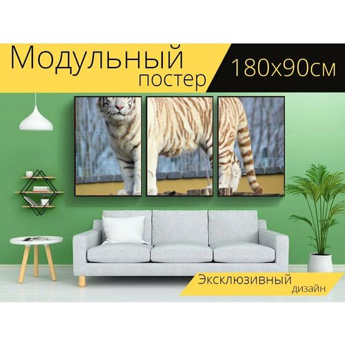 Модульный постер "Тигр, белый, индийский" 180 x 90 см. для интерьера