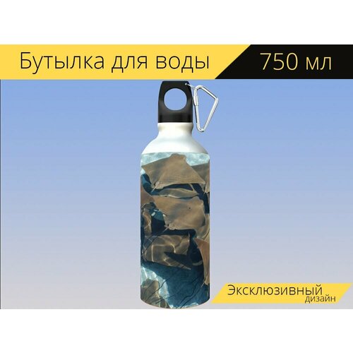 Бутылка фляга для воды "Скаты манты, скаты, морской жизни" 750 мл. с карабином и принтом