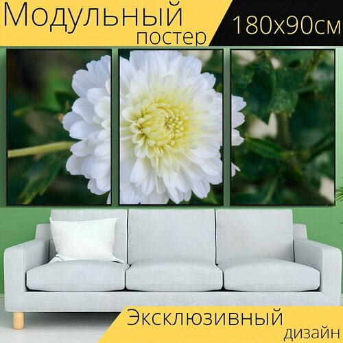 Модульный постер "Белый цветок, молоко цветок, цветок" 180 x 90 см. для интерьера