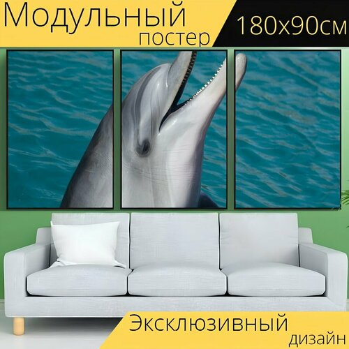 Модульный постер "Дельфин, море, морской" 180 x 90 см. для интерьера