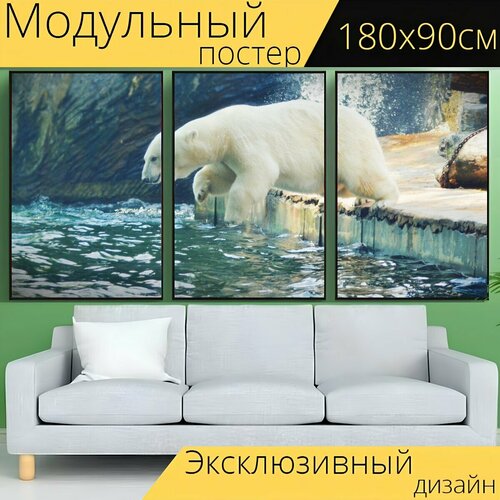 Модульный постер "Прыгать, вода, животное" 180 x 90 см. для интерьера